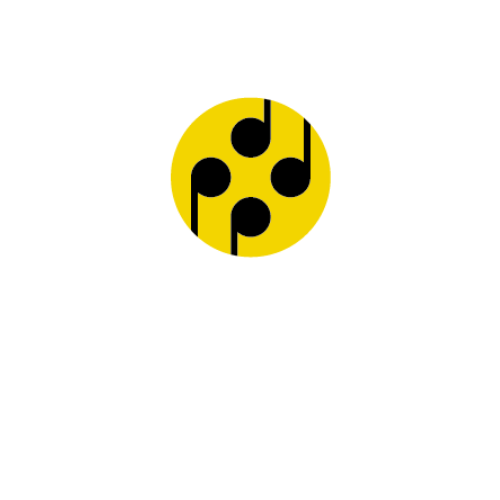Historia de Paradox - Instituto Tecnológico Paradox